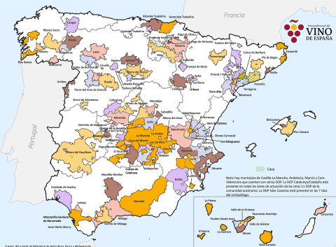 Vino de España, mucho más que vino - OIVE